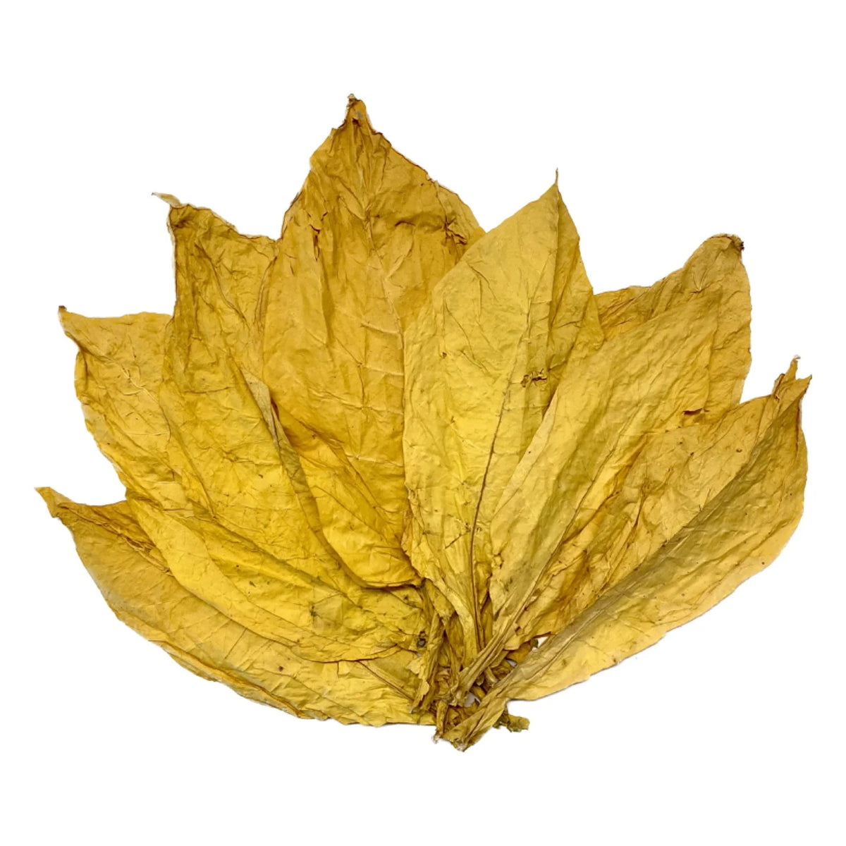 Feuilles de tabac virginie blond - qualité supérieure et naturelle – FTR